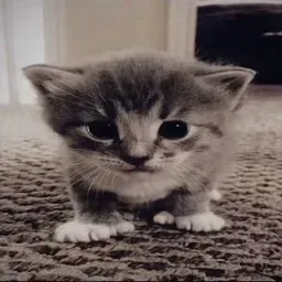 @ben._4305 | guns.lol