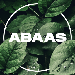 @abaas | guns.lol