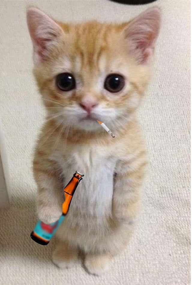 @highbeckk | guns.lol