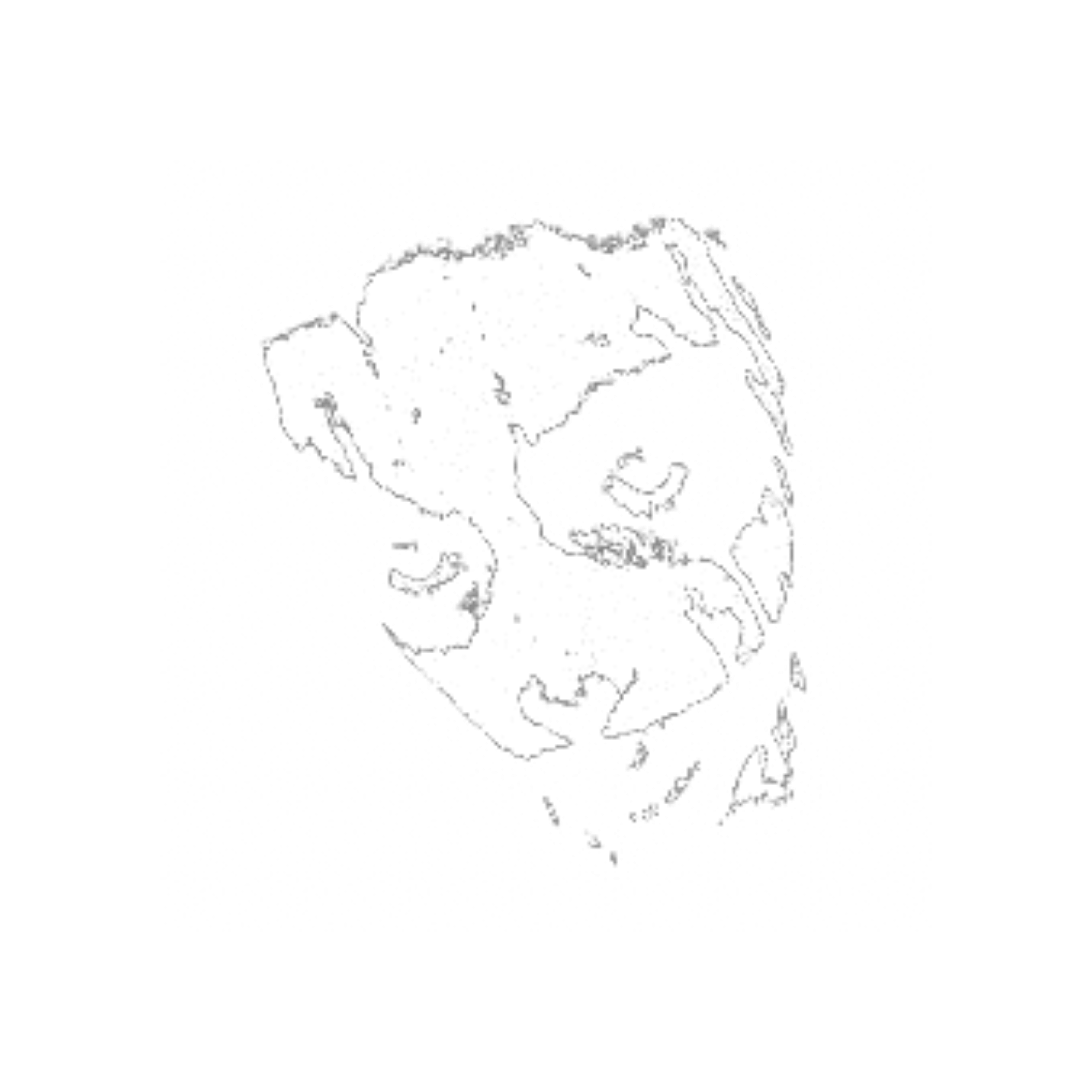 @btcthrax | guns.lol